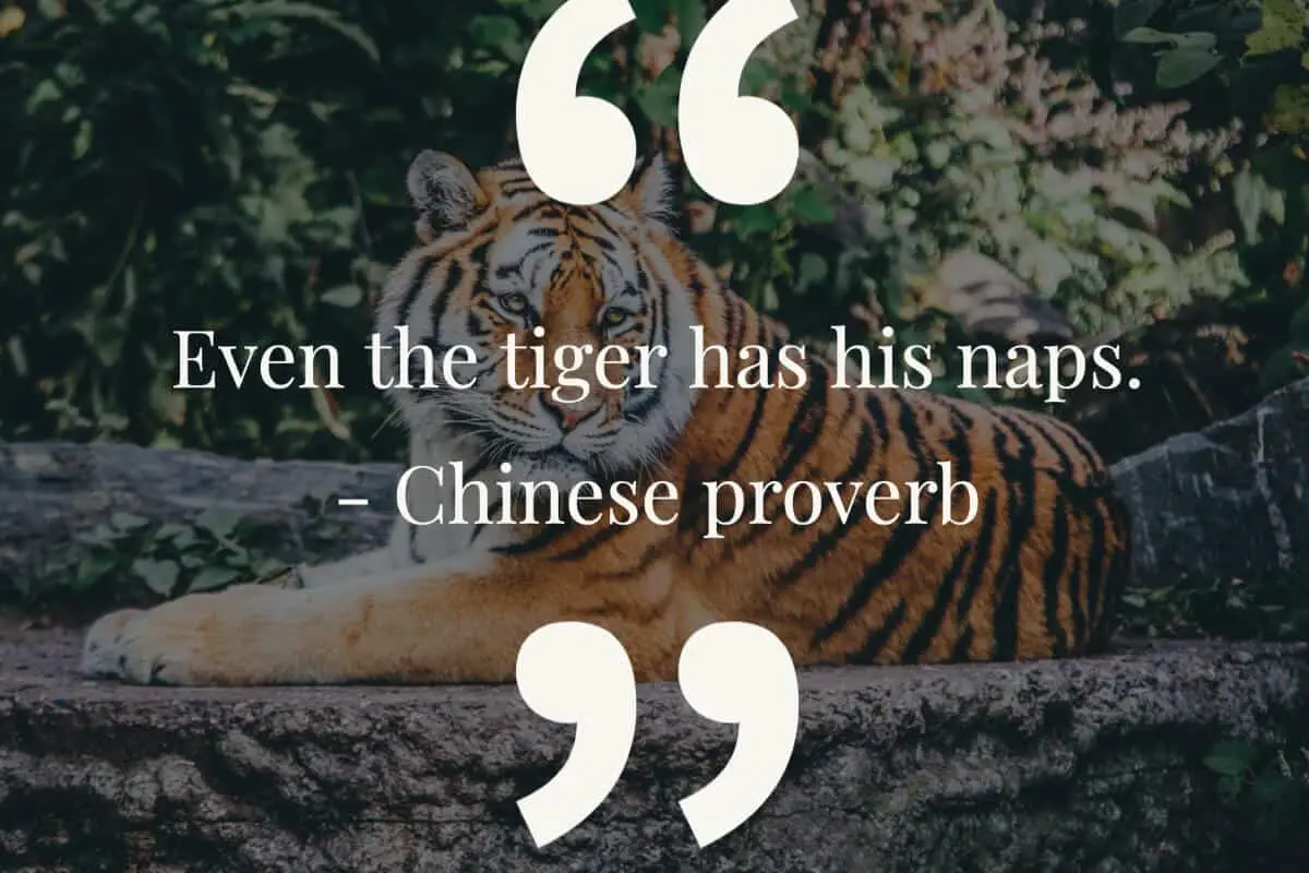 Over 175 Inspirational Chinese Proverbs On Life And Living - The Hummel ...